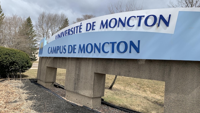 Des citoyens demandent des consultations sur le nom de l’Université de ...