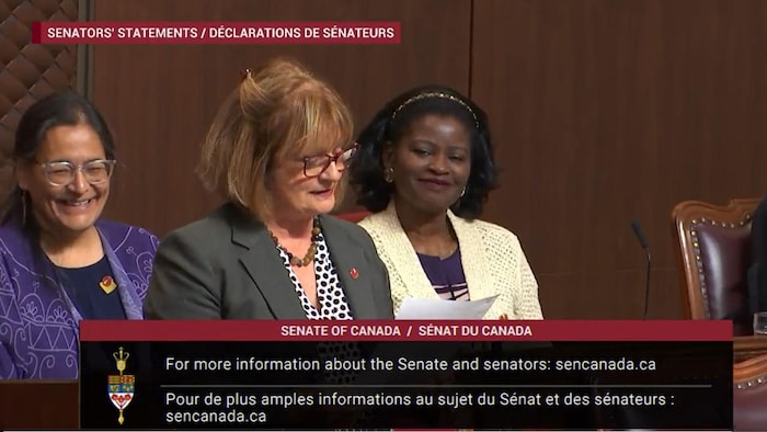 Les vaches en cavale en Mauricie honorées au Sénat | Radio-Canada