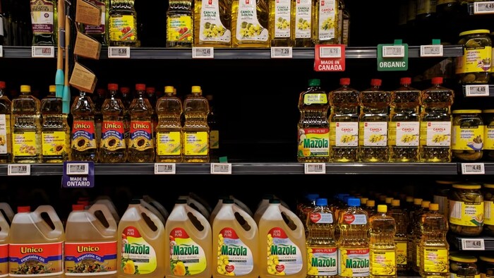 Loblaw earns $529M in Q4 profits as Canadians continue to be hit with ...