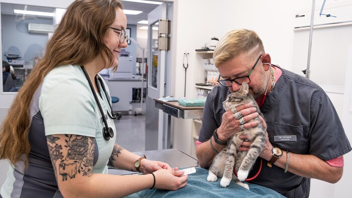 La santé mentale des vétérinaires canadiens continue de se détériorer ...