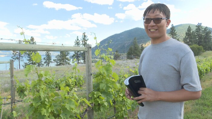 Dans l’Okanagan, les vignerons à l’épreuve des événements climatiques extrêmes | Radio-Canada
