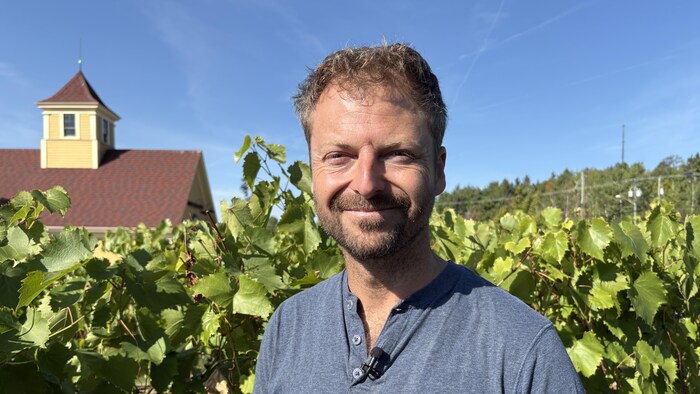 2025 pourrait être une bonne année pour le vin au Nouveau-Brunswick ...