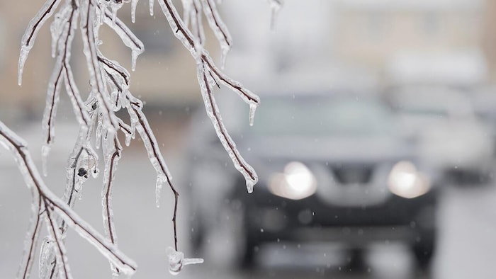 Du verglas dans le nord et l’est du Nouveau-Brunswick | Radio-Canada