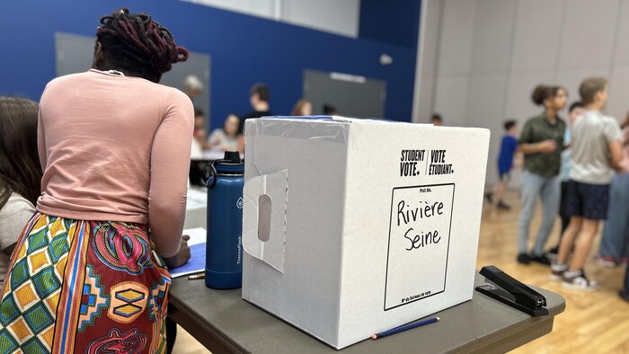 Au Manitoba, 25 000 élèves font entendre leurs voix lors d’une élection ...