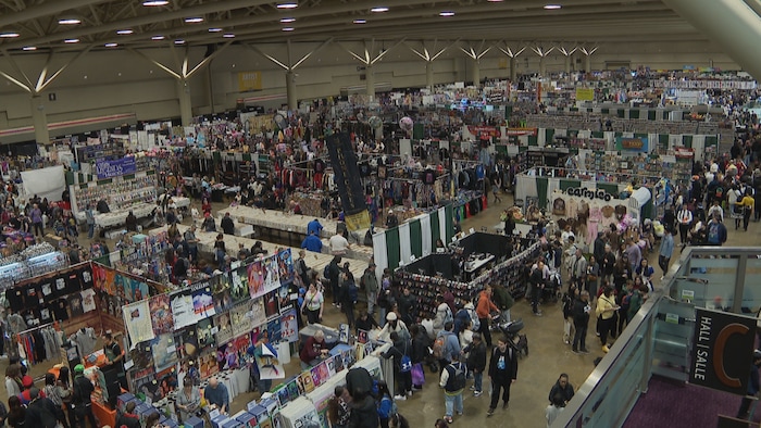 Déguisements, héros et bandes dessinées... 3 jours de costumade pour le ...