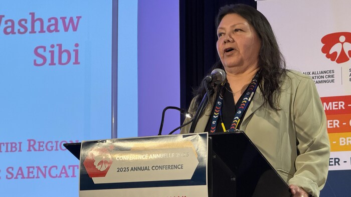 Washaw Sibi poursuit ses démarches pour s’établir près de Matagami ...