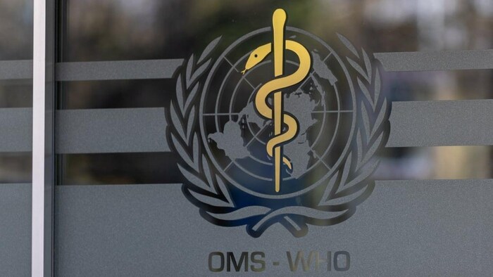 L’OMS recommande les médicaments de type Ozempic pour lutter contre l ...