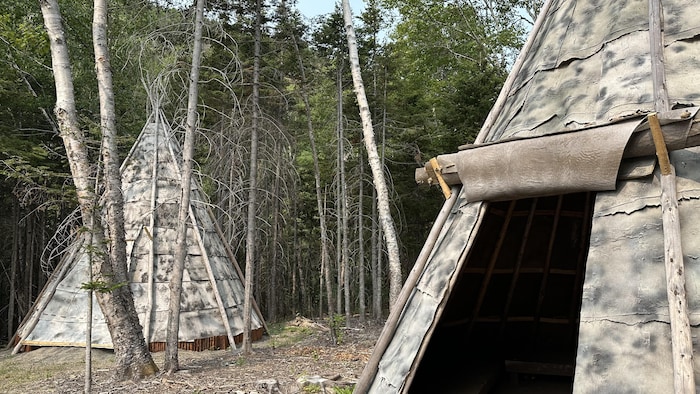 Dormir dans des wigwams traditionnels à Forillon | Radio-Canada