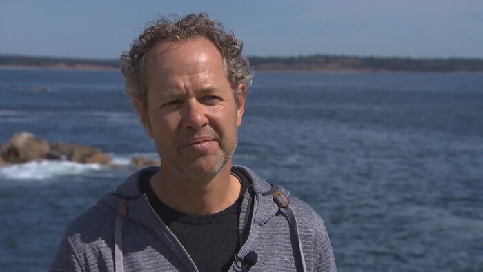 Une espèce marine urticante de plus en plus courante sur les côtes de ...