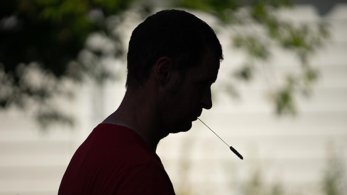 Un programme d’apprentissage agricole ouvre des horizons dans l’Ouest ...