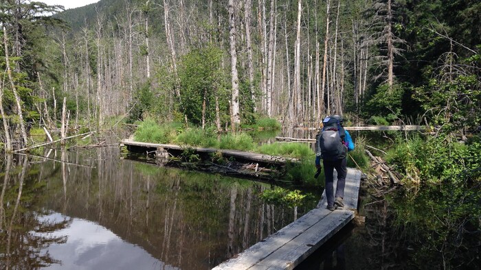 Les inondations sur la piste Chilkoot malmènent l'industrie touristique ...