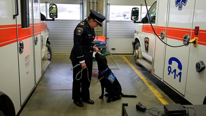 Un chien apporte un nouveau soutien psychologique aux premiers ...