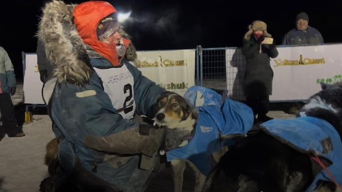 La course de chiens de traîneau Yukon Quest est annulée au Yukon ...