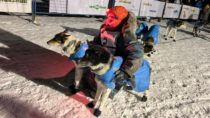 Michelle Phillips remporte la Yukon Quest pour une 2e année consécutive ...