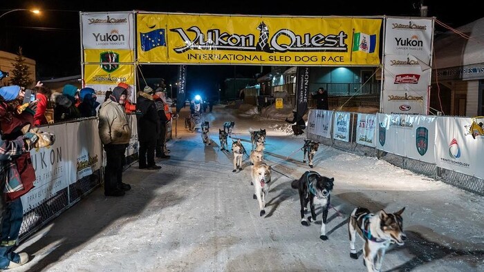 Changement de tracé pour la Yukon Quest cet hiver | Radio-Canada