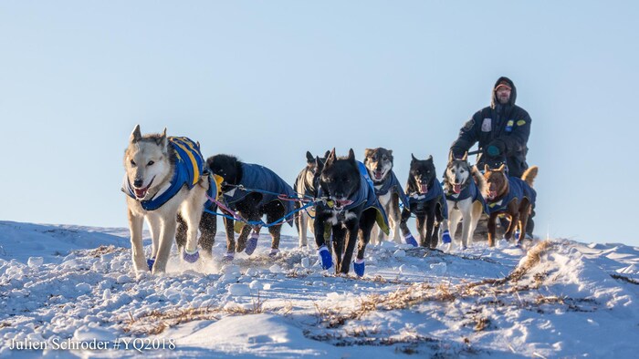 L'Iditarod surveille l'exclusion de Hugh Neff du Yukon Quest | Radio-Canada