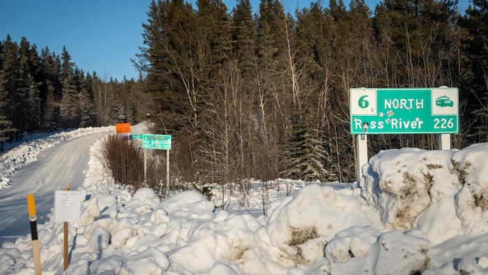 La course de chiens de traîneau Yukon Quest est annulée au Yukon ...