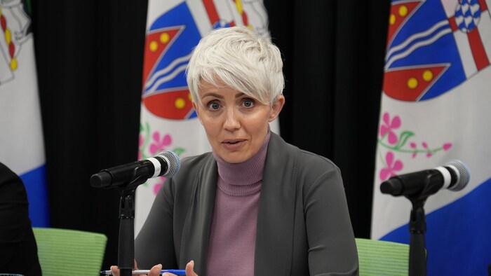 Le Yukon se défend du temps que prennent les travaux à la mine Eagle ...