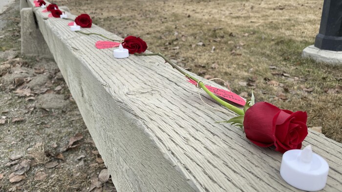 Les communautés du Grand Nord marchent pour souligner la Journée de la ...