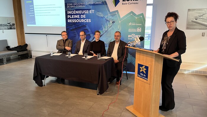 La zone industrialo-portuaire de Baie-Comeau veut attirer des projets à ...