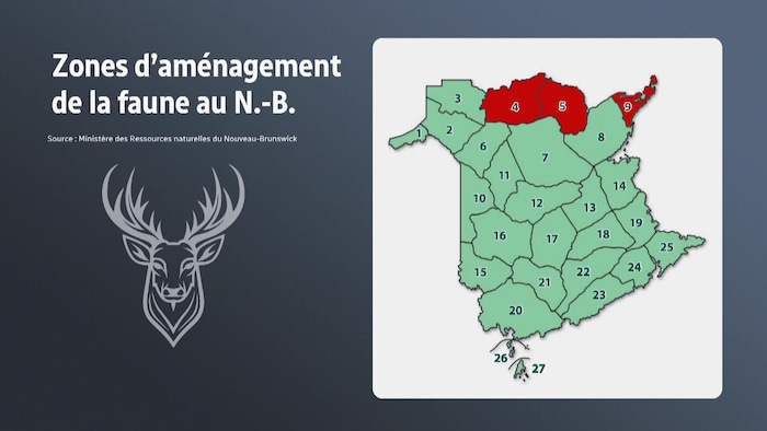 Des chasseurs reviennent à la charge pour une chasse au chevreuil dans ...