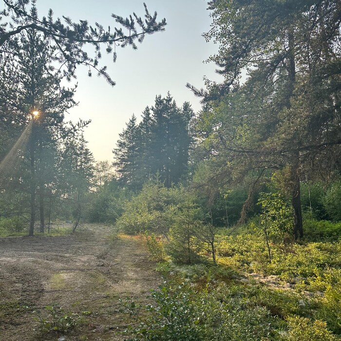 La quête d’une Atikamekw pour protéger son territoire familial | Radio ...