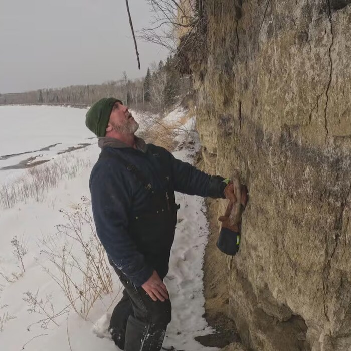 Les secrets révélés par un os de bison vieux de plus de 8000 ans ...