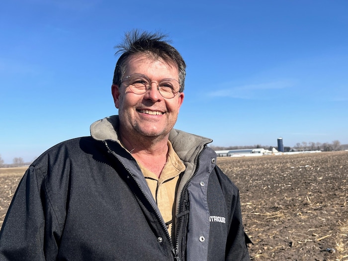 Le stress de chaleur, un danger pour les vaches laitières | Radio-Canada