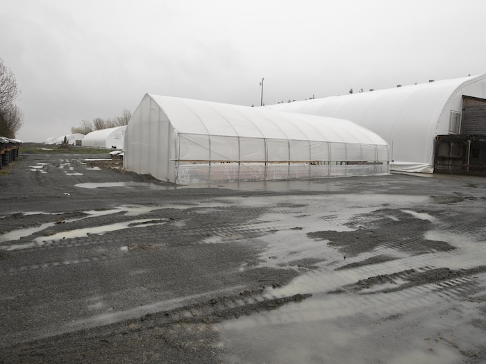 Benoit Laliberté refuse de démanteler ses installations de ...