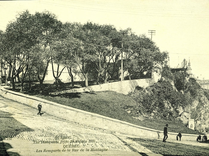 La surprenante histoire des côtes de Québec | Radio-Canada