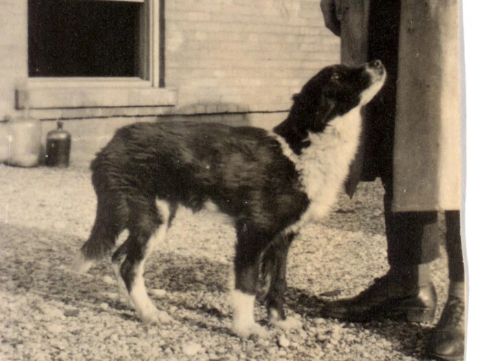 L’insuline, découverte vitale et bisbille créatrice : le 1er Nobel ...