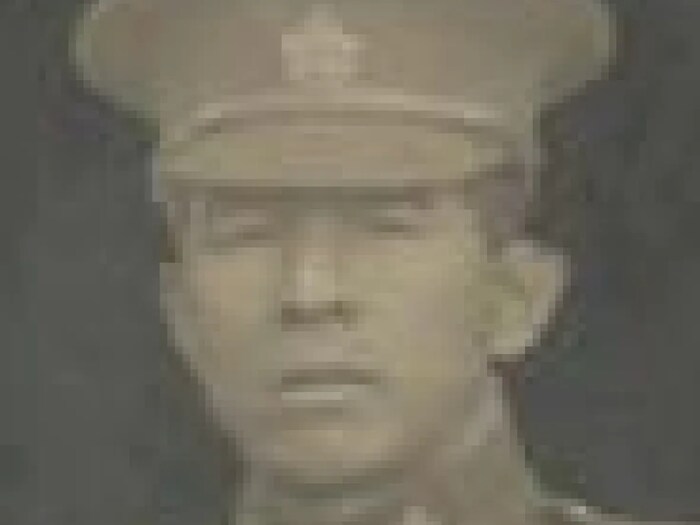 Scanner un coquelicot pour apprendre l’histoire des soldats tombés au ...