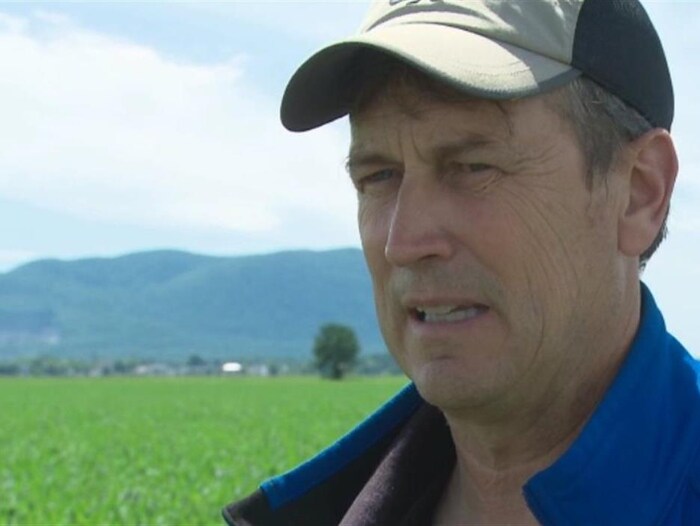 Les scientifiques au cœur de l'affaire Louis Robert publient leur étude ...