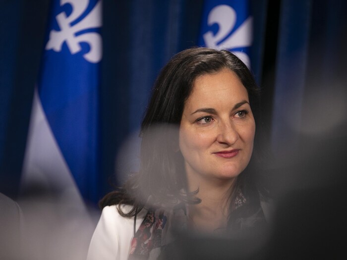 Québec repousse l’adoption de sa stratégie de prévention pour le ...