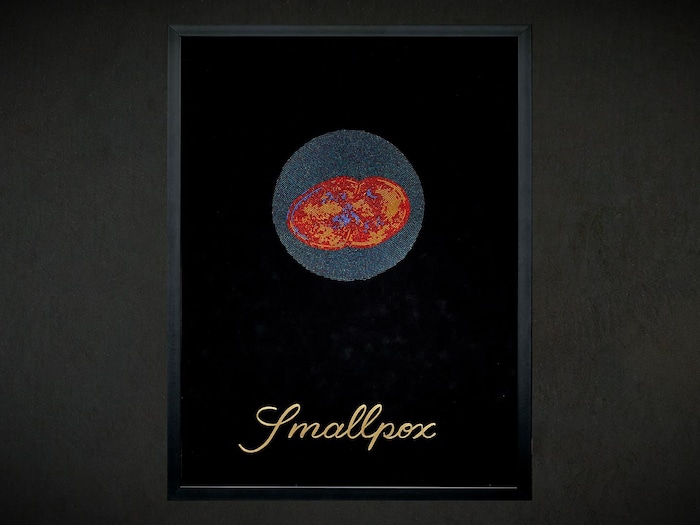 Rembrandt et la programmation estivale du MBAC en suspens | Radio-Canada