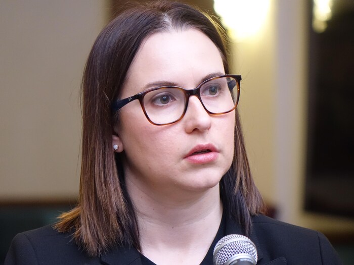 Immigration francophone : T.-N.-L. doit-elle adopter des cibles plus ...