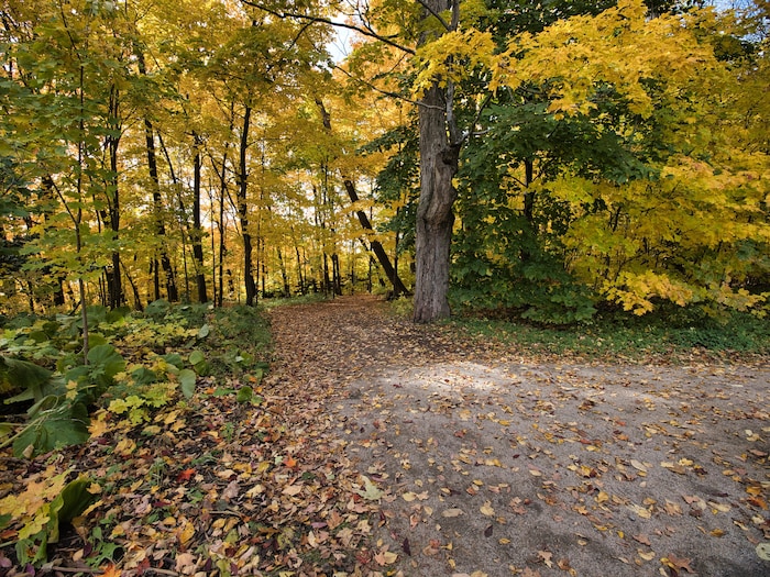 Le sentier des Grands-Domaines-de-Sillery accessible avant son ...