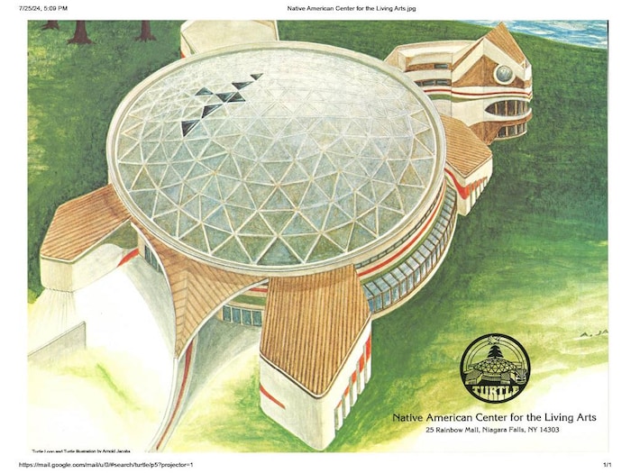 La Tortue de Niagara Falls : sauver la carapace à la dérive | Radio-Canada