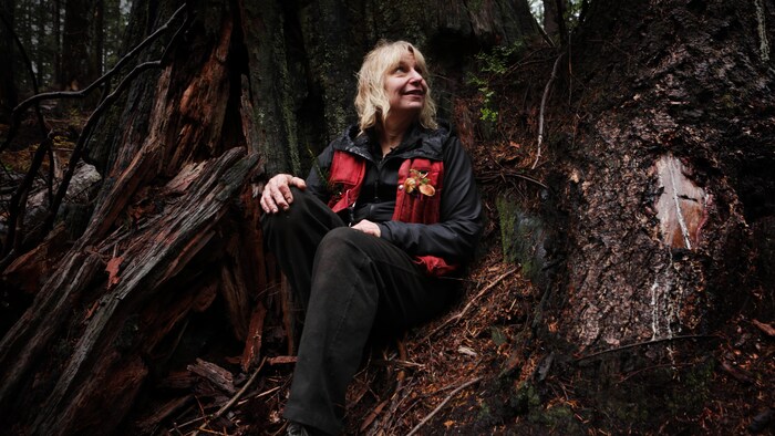 Suzanne Simard, professeure à l’UBC, parmi les personnalités les plus ...