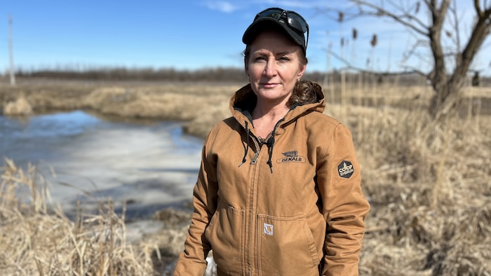 Le roseau commun, une espèce envahissante problématique dans l’est ...