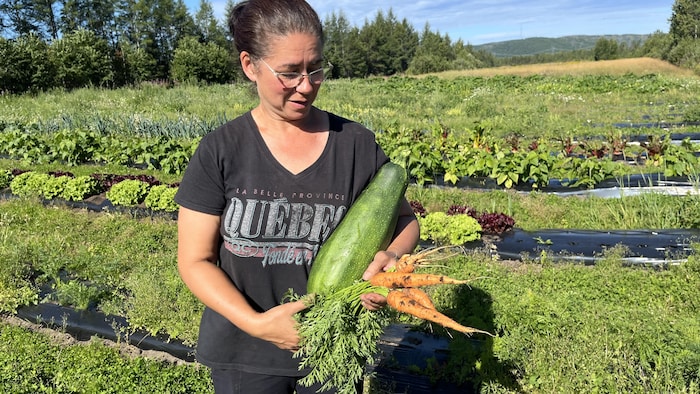 Pourquoi nos légumes locaux ne sont-ils pas à l’épicerie? | Radio-Canada