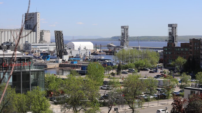 Le Port de Québec veut atteindre 30 % de canopée d’ici 2035 | Radio-Canada