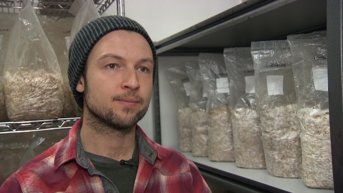 La Pleurotière : défricher la culture du champignon en Outaouais ...