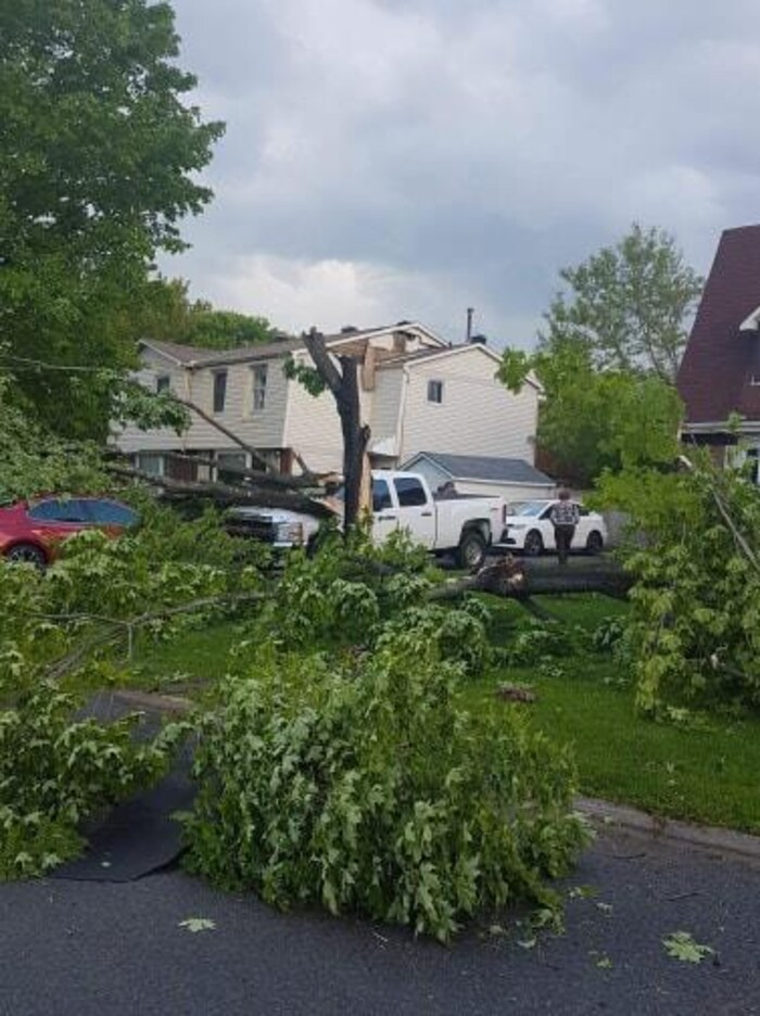 EN IMAGES - Une tornade frappe l'est d'Ottawa | Radio-Canada