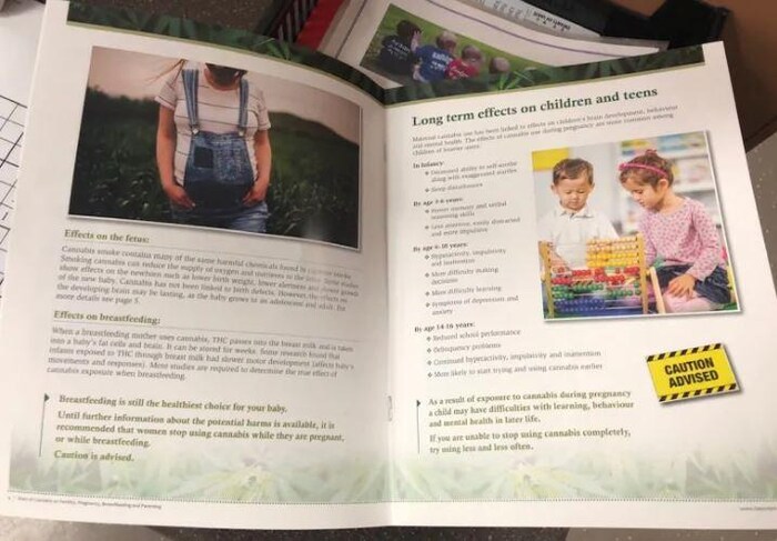 La consommation de cannabis près de jeunes enfants déconseillée par des ...