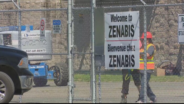 Légalisation du cannabis : le N.-B. prévoit la création de 3000 emplois ...