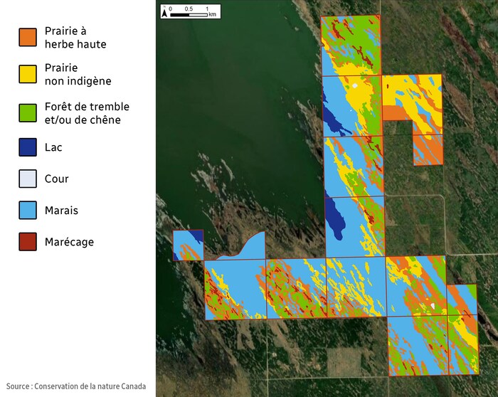 Bienvenue au Lake Ranch, la frange nord de la prairie à herbes hautes ...
