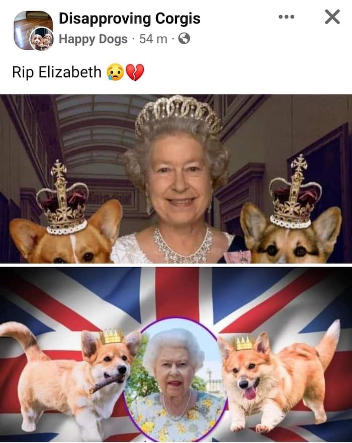 La reine Élisabeth II, la personnalité qu’aimait taquiner la mèmosphère ...