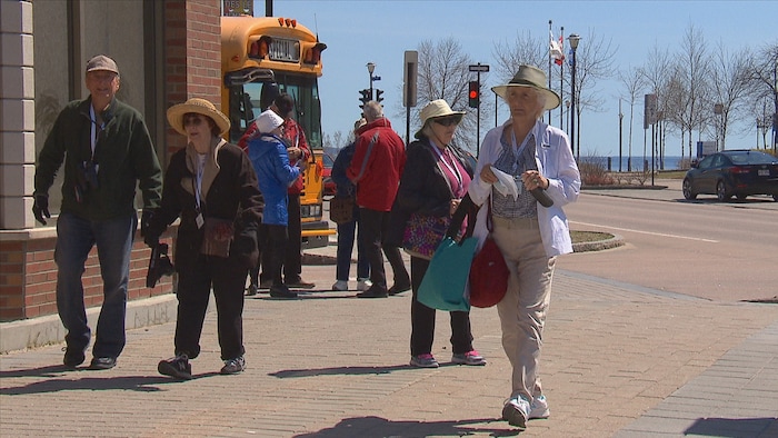 Une saison record s'amorce pour Croisières Baie-Comeau | Radio-Canada