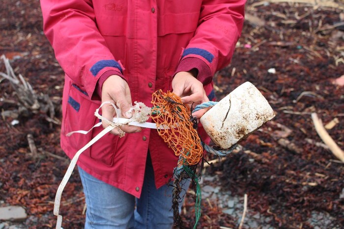 Des microplastiques dans des mollusques de la baie de Fundy | Radio-Canada